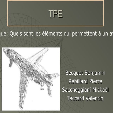 Tpe presentation 2 | PDF