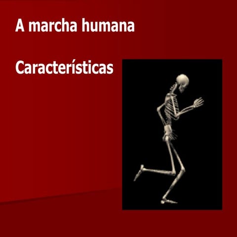 Marcha humana, fases e funções básicas.pptx