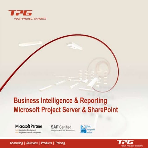 TPG The Project Group - BI & Reporting Webinar 2013 1.0 | PPT