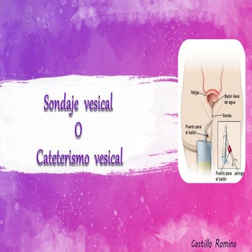 Sondaje vesical o cateterismo vesical | PPTX