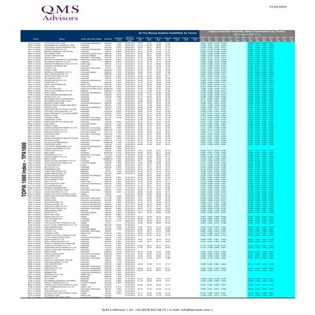 TPX 1000 Index - Dividends and Implied Volatility Surfaces Parameters | PDF