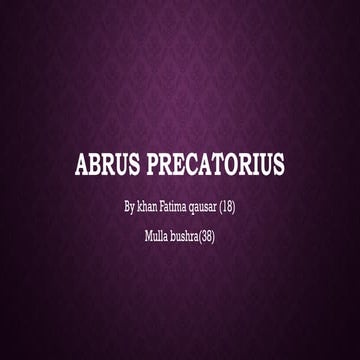 tqis abrus precatorius.pptx by the way to the teacher | PPTX