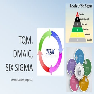 Tqm,dmaic, SIX Sigma Assignment | PPT