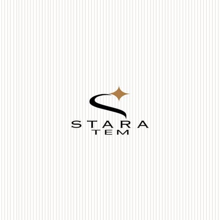TR-EN STARA TEM KATALOG - Listing Turkey | PDF