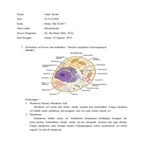 SEL | DOCX