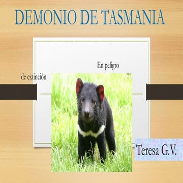Demonio de Tasmania | PPTX
