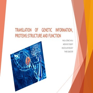 Translation of genetic information | PPT