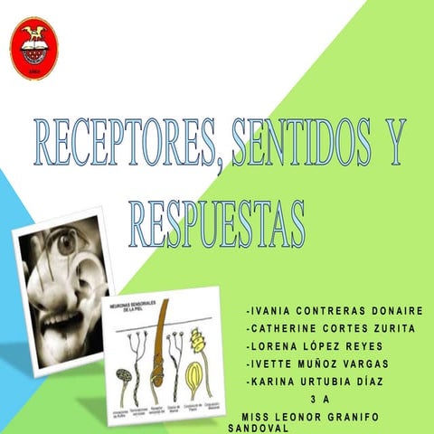 receptores neuronales | PPTX