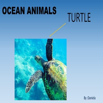 Ocean Animals: Turtles, by Daniela (5th B) | PPTX