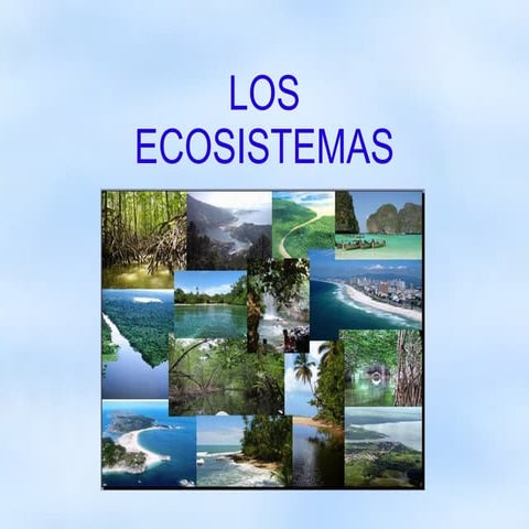 Trabajo de biología sobre Ecosistemas | ODP | Science