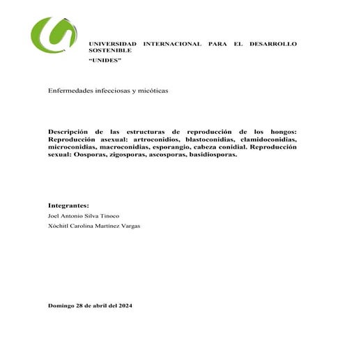 Morfología y clasificación de los hongos | PDF