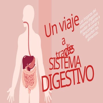 El sistema digestivo y sus partes anatomícas .pptx