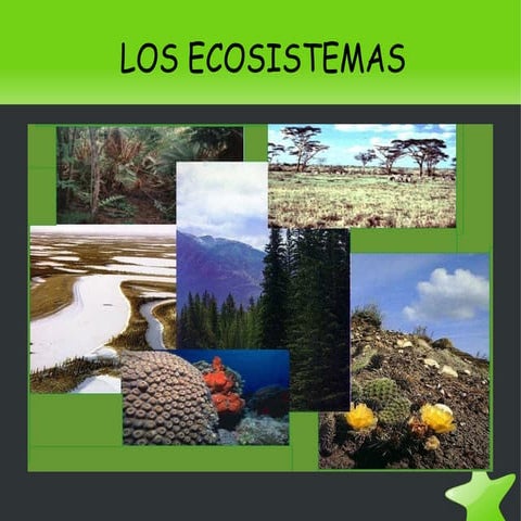 Trabajo ecosistemas | ODP