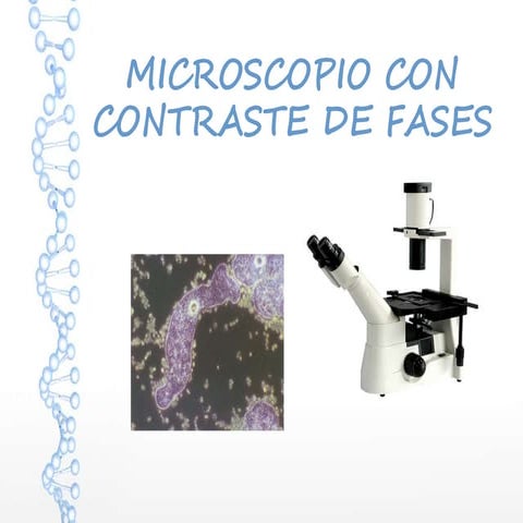 Microscopio con contraste de fases. | PPTX