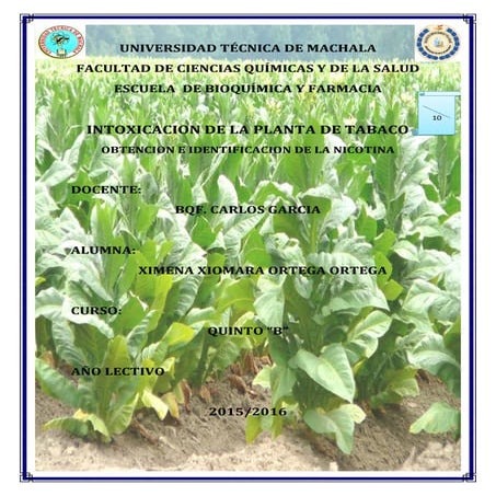 The RCA and runway condition report RCR aviation | PDF