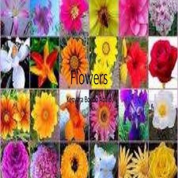 Flowers by Kenyara | PPTX | Europe Travel | Travel Locations