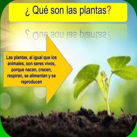 Las Plantas | PPT
