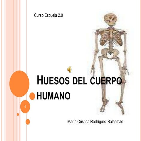 Hojas De Trabajo Sobre Huesos Para Anatomía