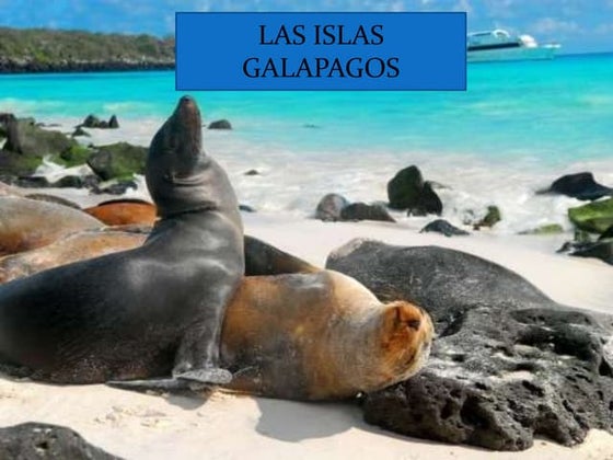 Flora y fauna de las islas galápagos | PDF
