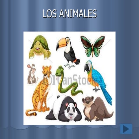 Clasificación de animales | PPTX
