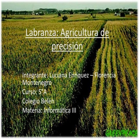 Tambo: ordeñe | PPTX