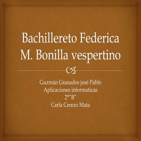 Palmbach Michael CV, May 2016 | DOC