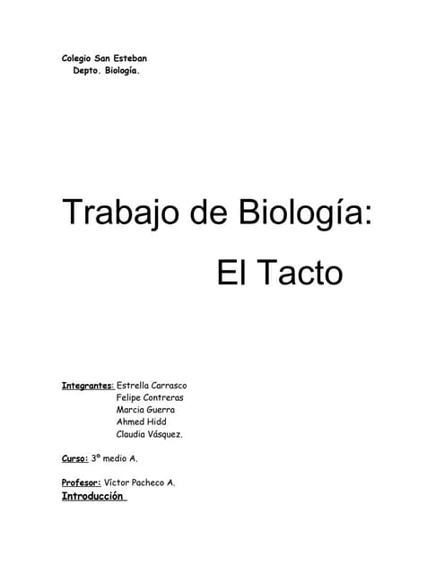 Corpusculos de la piel | PDF