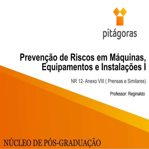 Nr 24-atualizada-2019 | PDF