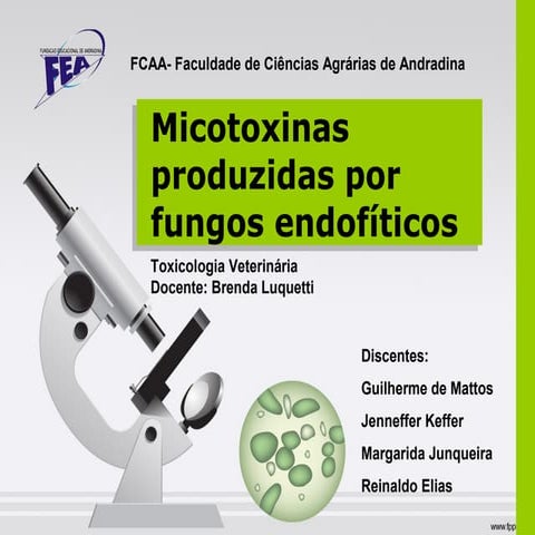 Micotoxinas produzidas por fungos endofíticos | PPT