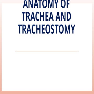 anatomy of trachea.pptx