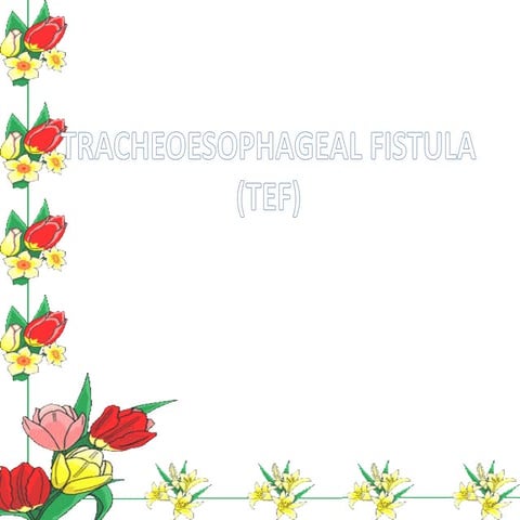 TRACHEOESOPHAGEAL FISTULA hbmjgffddddffg | PPT