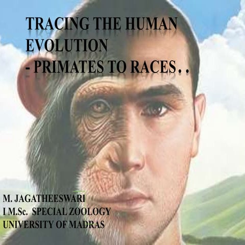 Tracing the human evolution | PPTX