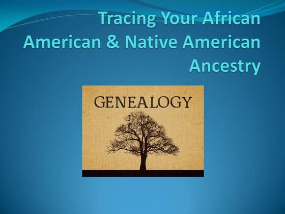 The 7 repositories primary source of rph | PDF