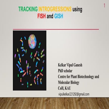 Tracking introgressions using FISH and GISH | PDF