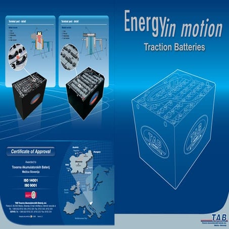Traction Batteries En 2009 Pdf