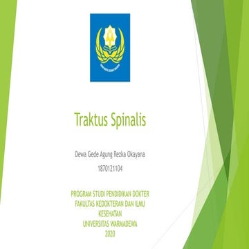 power point mengenai tractus Spinalis.pptx