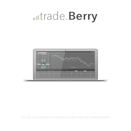Trade.berry official brochure | PDF