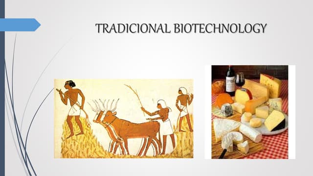 Traditional vs modern biotechnology | DOCX