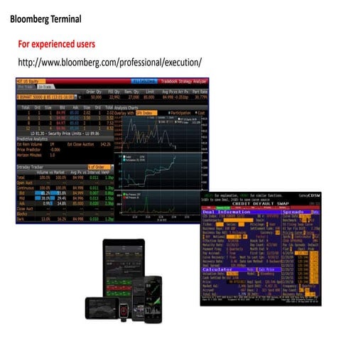Mastering the platform for success quotx | DOCX