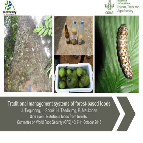 Strengthening the forest–health–nutrition nexus. | PDF