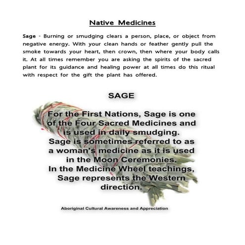 Traditional Native Medicines | PDF