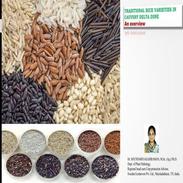 TRADITIONAL RICE VARIETIES IN CAUVERY DELTA ZONE.pptx