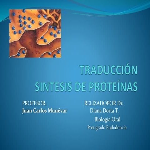 Comprehensive Overview of mRNA Translation in Eukaryotes for Medical ...
