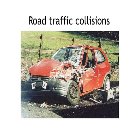 Traffic death-final.pdf (Lecture notes ) | PDF