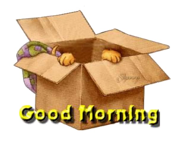 Traffic education | PPTX