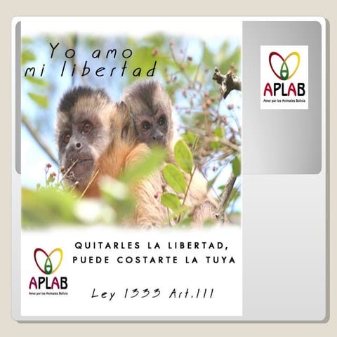 Tráfico de Animales | PPT