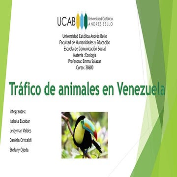 Trafico de animales presentacion | PPTX