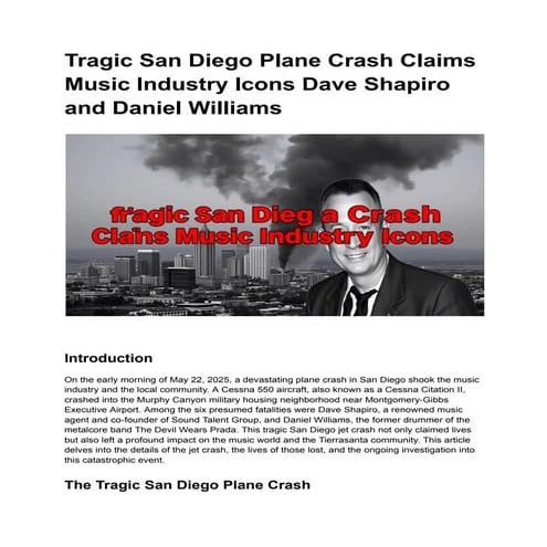 Tragic San Diego Plane Crash Claims Music Industry Icons Dave Shapiro ...