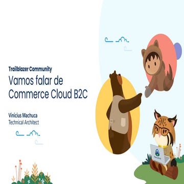 Commerce Cloud B2C | PDF