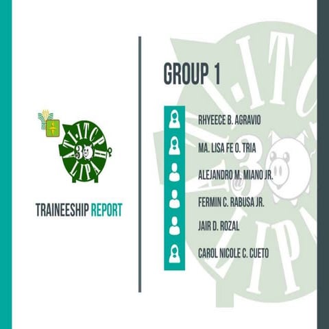 Traineeship report (group 1) | PPT